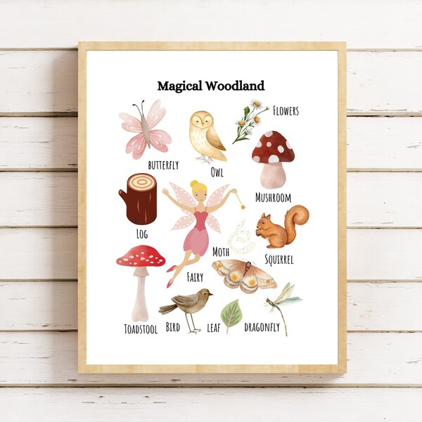 Fairy Classroom - Etsy