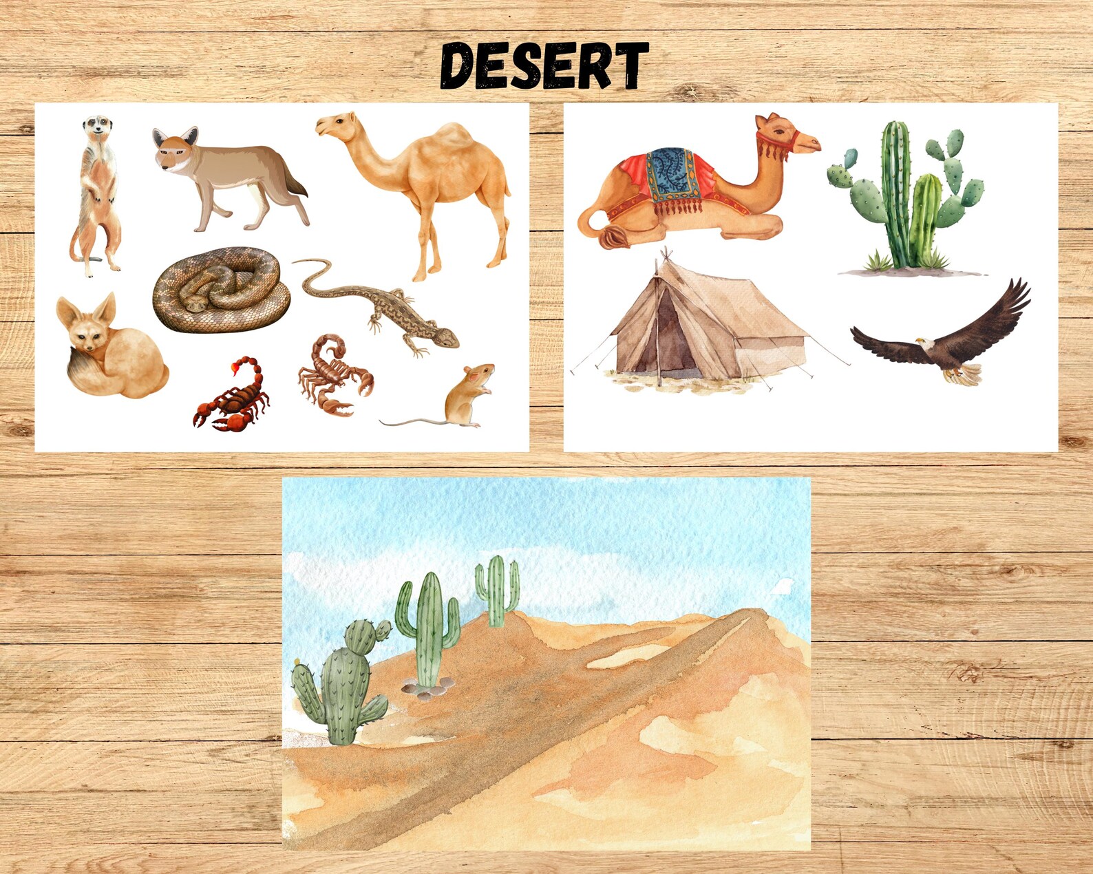 Animal Habitat Sorting Activity, Habitat Match, Animal Pretend Play ...