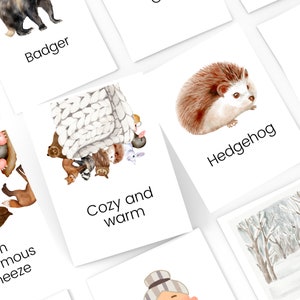 The Mitten Story Cards, Storytelling Cards, Fairy Tale, Homeschool ...