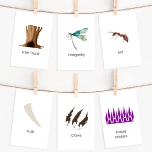 The Gruffalo Story Cards, 36 Gruffalo Flashcards, Homeschool Montessori ...