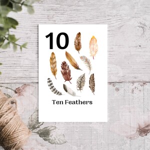 Autumn Number Flashcards 1-10 Printable, Nature Number Cards, Fall ...