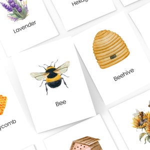 Bees Flashcards, Bee Educational Poster, Montessori, Homeschool ...