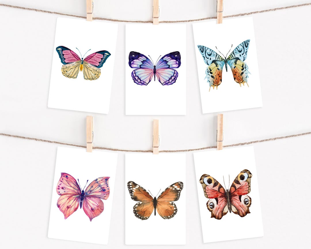 Butterfly Flashcards, Butterfly Activities, Butterfly Matching ...