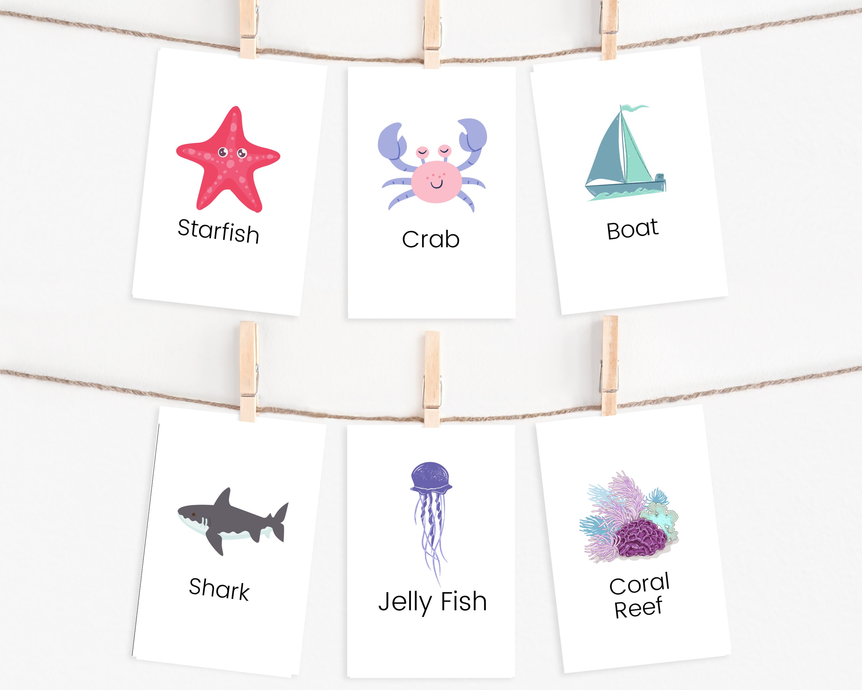 20 Ocean Animals Flashcards Sea Animals Flashcards INSTANT - Etsy