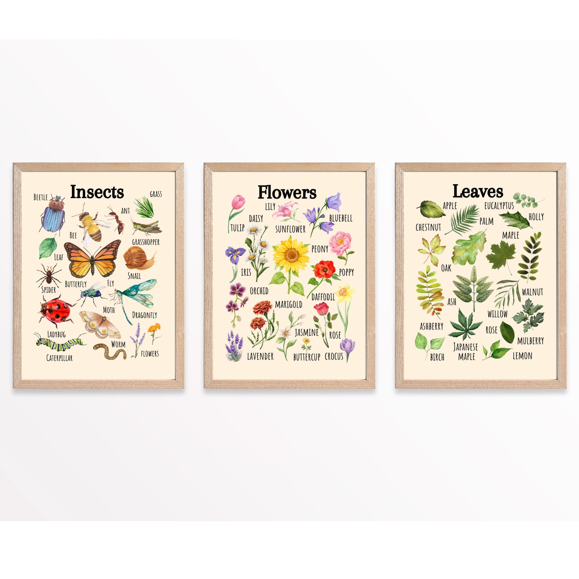 Insects Educational Poster, Flowers Poster, Printable Wall Art, Nature ...