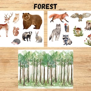 Animal Habitat Sorting Activity, Habitat Match, Animal Pretend Play ...