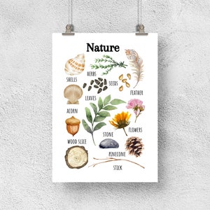 Nature Educational Posters, Printable Wall Art, Classroom Learning ...