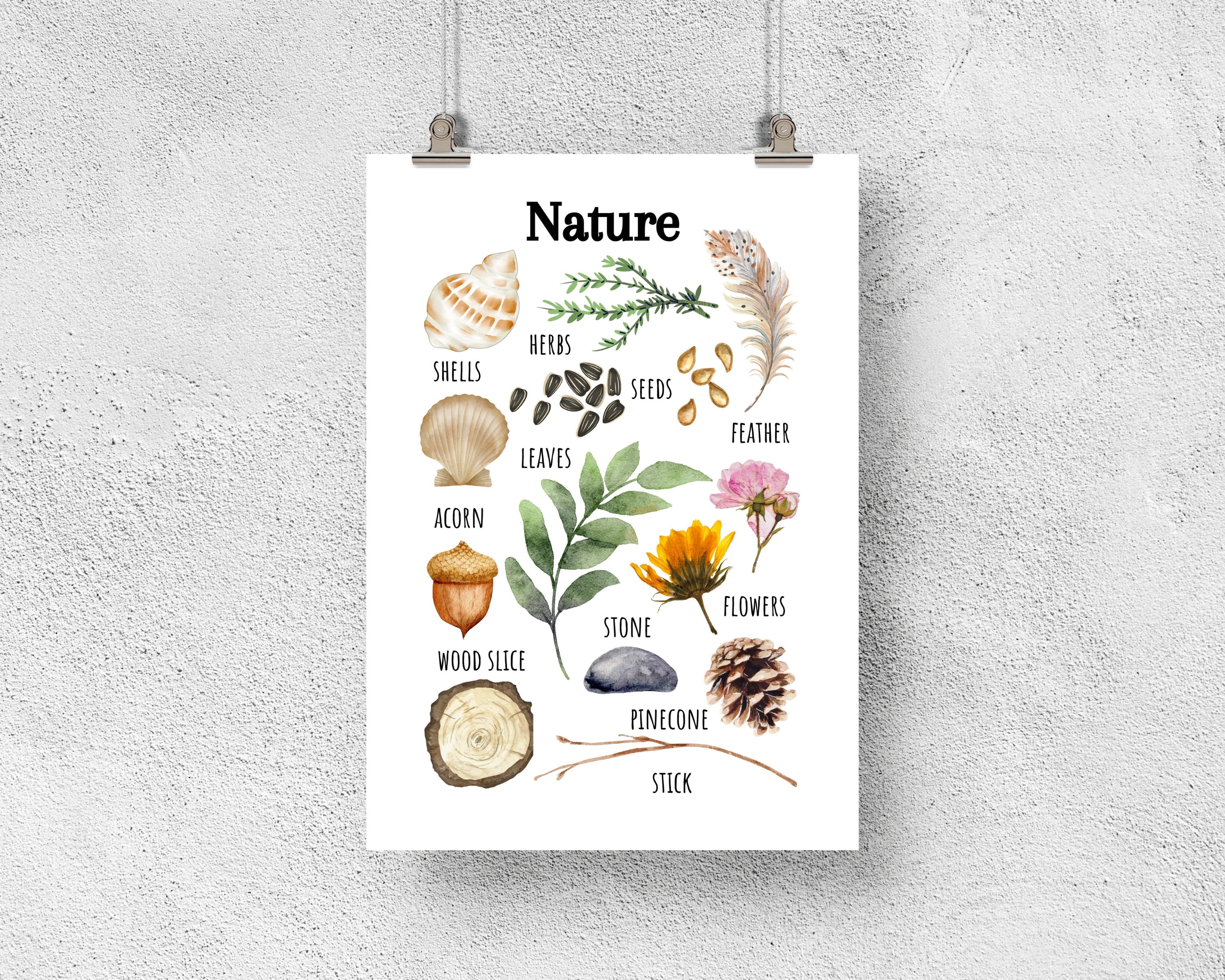 Nature Educational Posters, Printable Wall Art, Classroom Learning ...