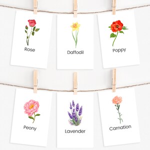 26 Flowers Flashcards, Montessori Flashcards, Montessori Pintables ...