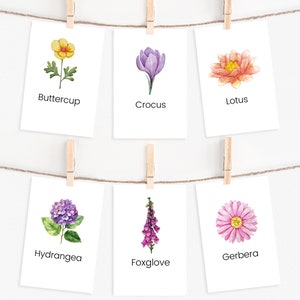 26 Flowers Flashcards, Montessori Flashcards, Montessori Pintables ...