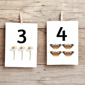 Number Flashcards 1-20 Printable, Nature Number Cards, Nursery Wall Art ...