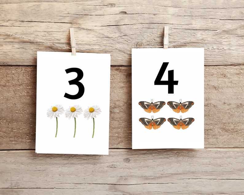 Number Flashcards 1-20 Printable Nature Number Cards Nursery | Etsy