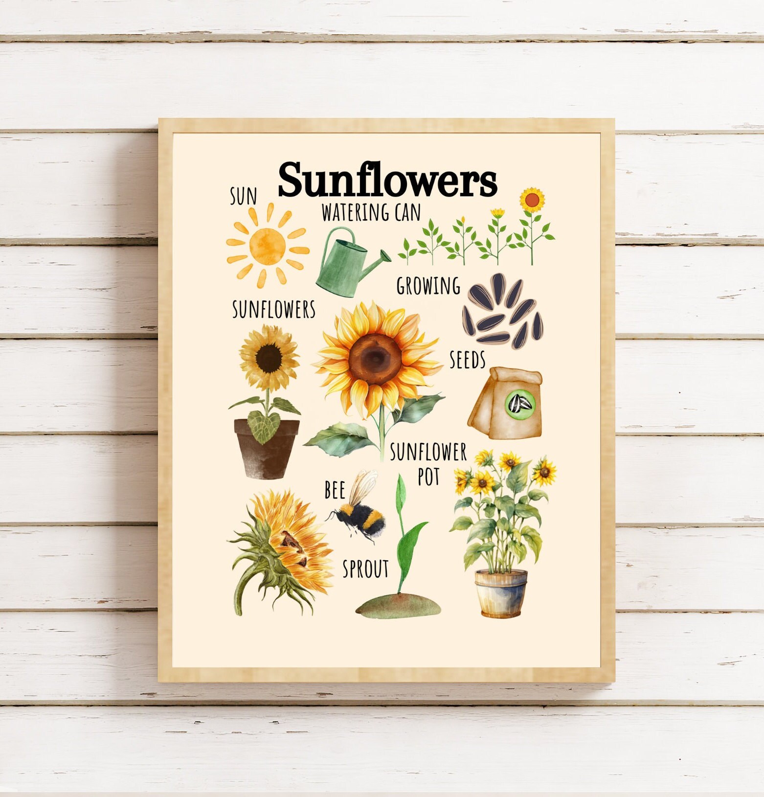 Bees Educational Poster, Sunflowers Poster, Printable Set of 2, Nature ...