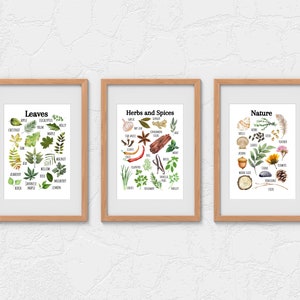 Nature Educational Posters, Printable Wall Art, Classroom Learning ...