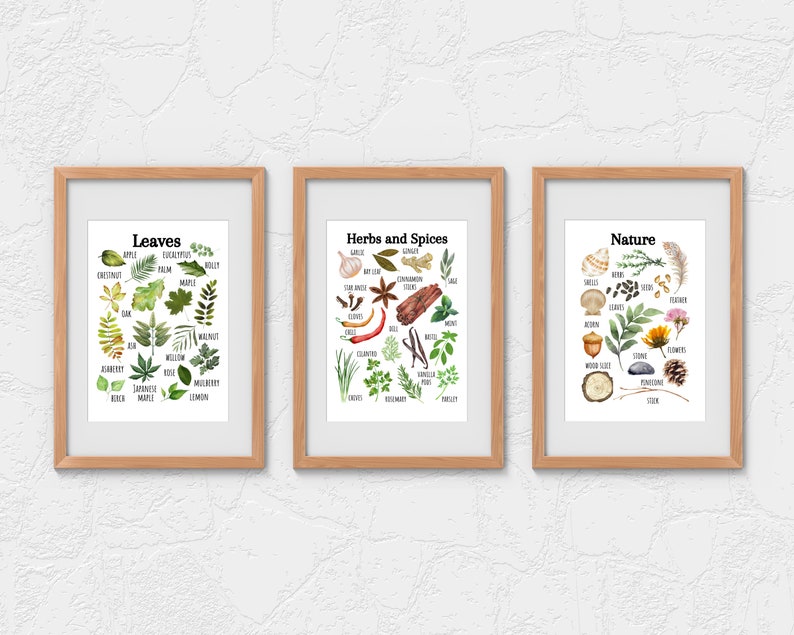Nature Educational Posters, Printable Wall Art, Classroom Learning ...
