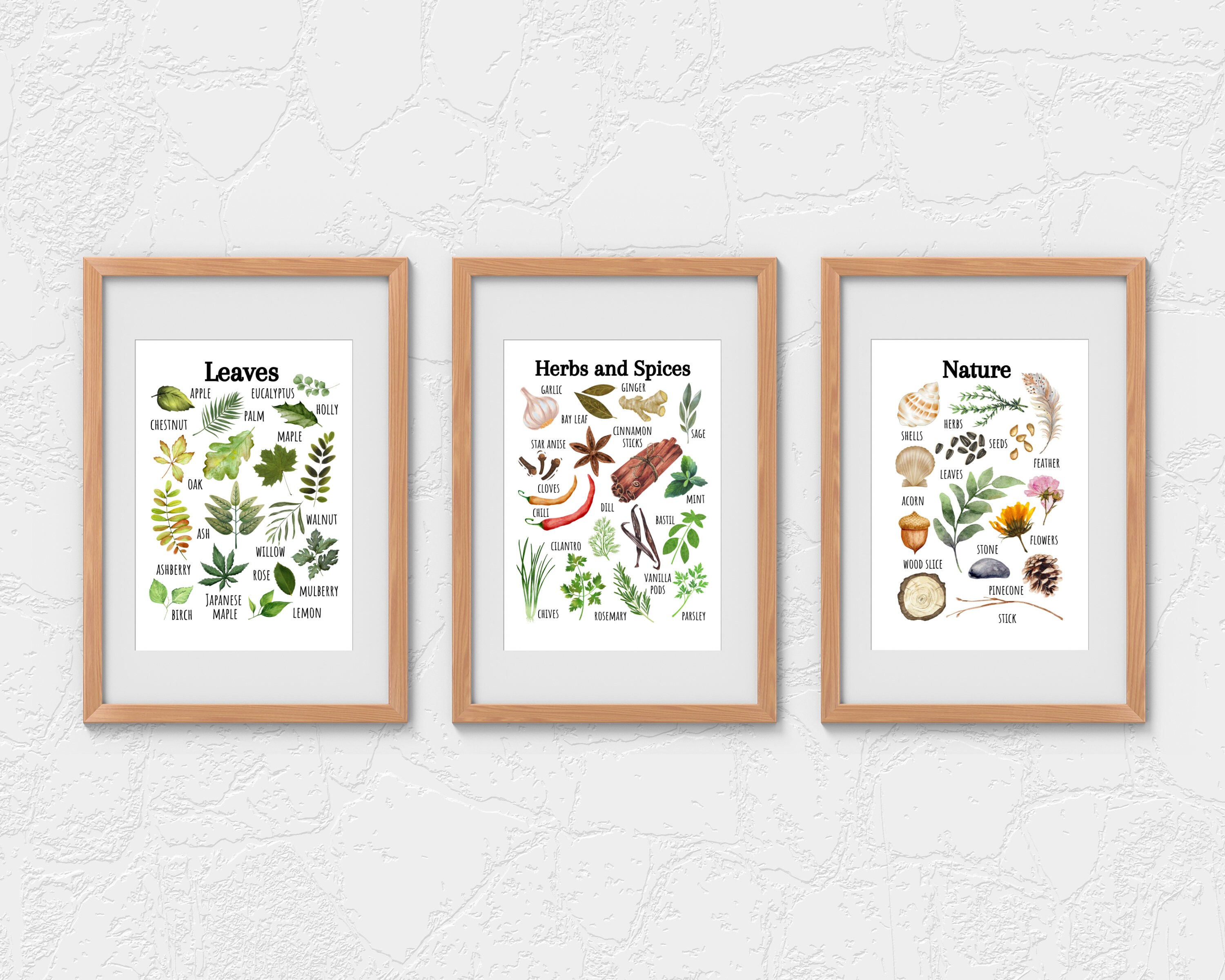 Nature Educational Posters, Printable Wall Art, Classroom Learning ...