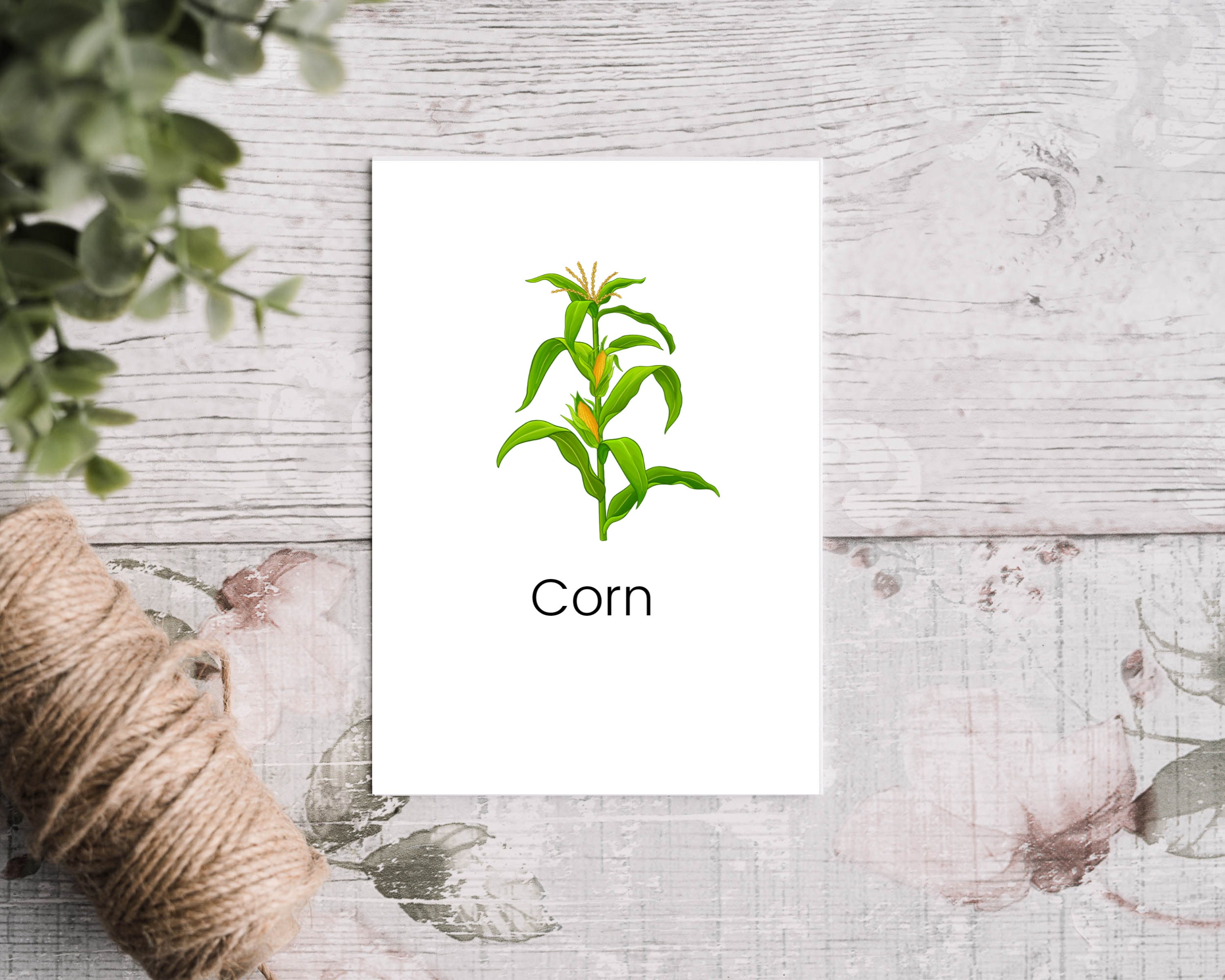 26 Farm Animals Flashcards, Farm Life, INSTANT DOWNLOAD, Nature Cards ...