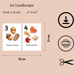 Autumn Number Flashcards 1-10 Printable, Nature Number Cards, Fall ...