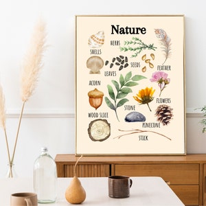 Nature Educational Posters, Printable Wall Art, Classroom Learning ...