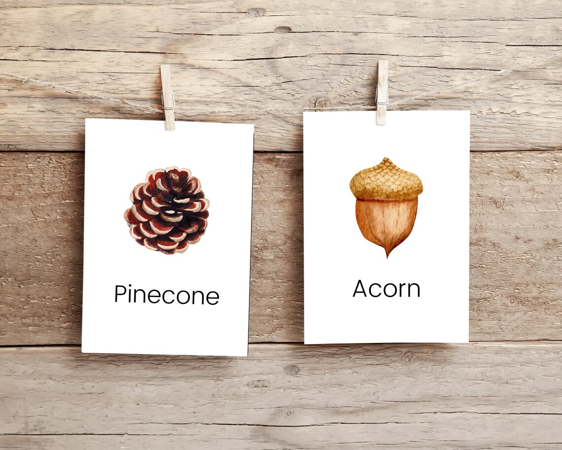 18 Autumn Flashcards Fall Flashcards INSTANT DOWNLOAD - Etsy