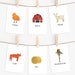 26 Farm Animals Flashcards, Farm Life, INSTANT DOWNLOAD, Nature Cards ...
