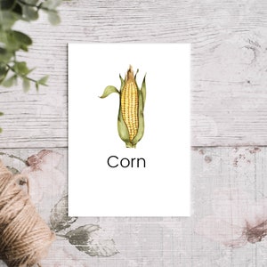 30 Vegetable Flashcards, Food Flashcards, INSTANT DOWNLOAD, Montessori ...