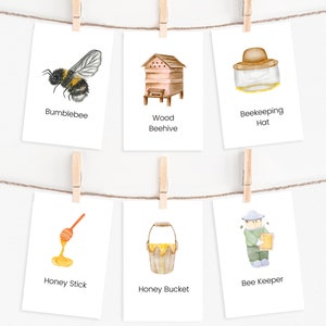 Bees Flashcards, Bee Educational Poster, Montessori, Homeschool ...