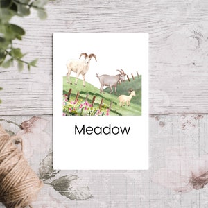 Three Billy Goats Gruff Story Cards, Storytelling Cards, Fairy Tale ...