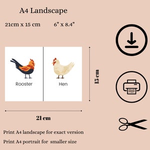 26 Farm Animals Flashcards, Farm Life, INSTANT DOWNLOAD, Nature Cards ...