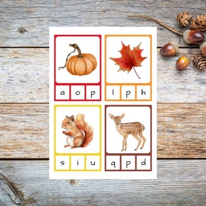 Fall Beginning Sounds Clip Cards: Autumn Phonics Activity (PDF Download ...