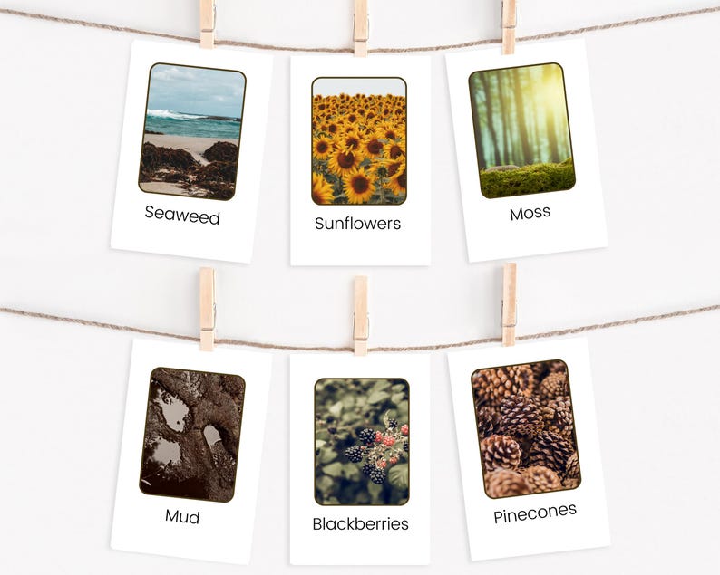 Nature Flash Cards, Reggio Inspired Vocabulary (printable) - Etsy UK