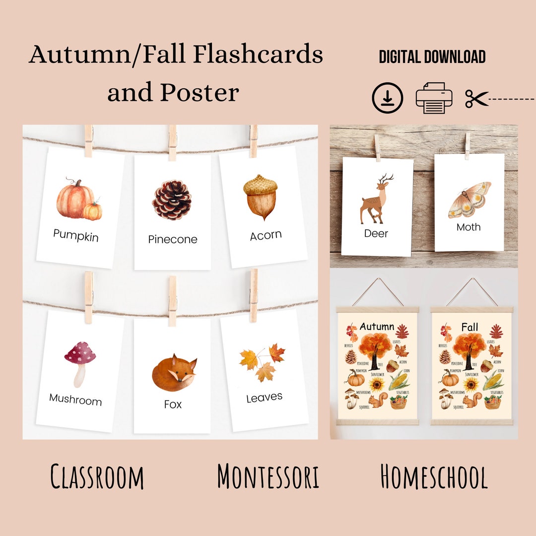 18 Autumn Flashcards, Fall Poster, INSTANT DOWNLOAD, Nature Cards ...
