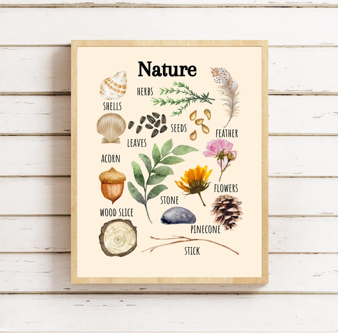 Nature Kids Poster, Nature Printable Wall Art, Nature Learning Poster ...