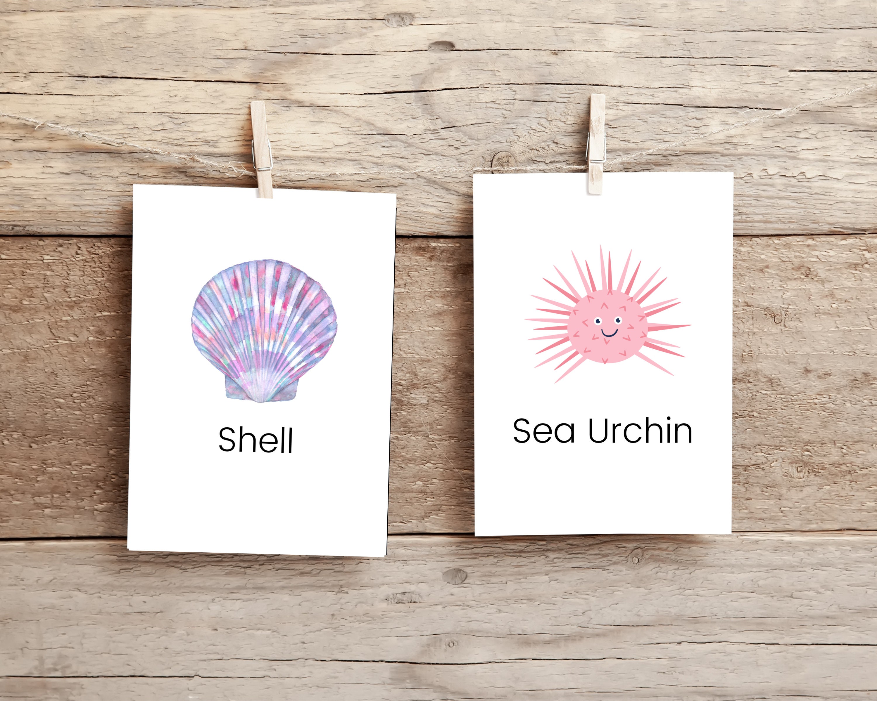 20 Ocean Animals Flashcards Sea Animals Flashcards INSTANT - Etsy