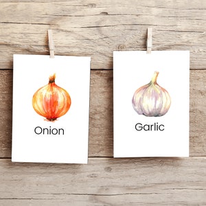 30 Vegetable Flashcards, Food Flashcards, INSTANT DOWNLOAD, Montessori ...