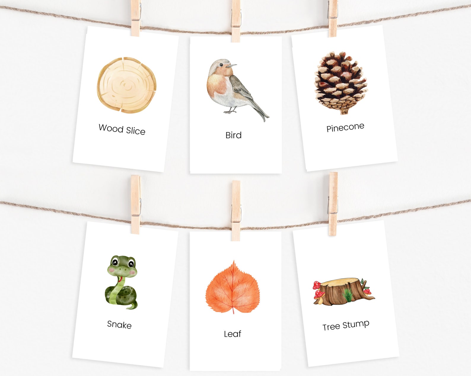 The Gruffalo Story Cards, Homeschool Printable (PDF) - Etsy