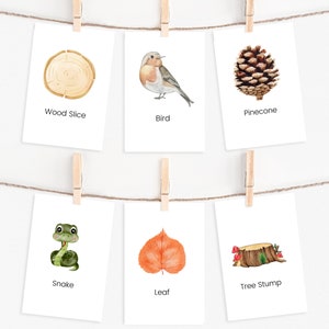 The Gruffalo Story Cards, 36 Gruffalo Flashcards, Homeschool Montessori ...