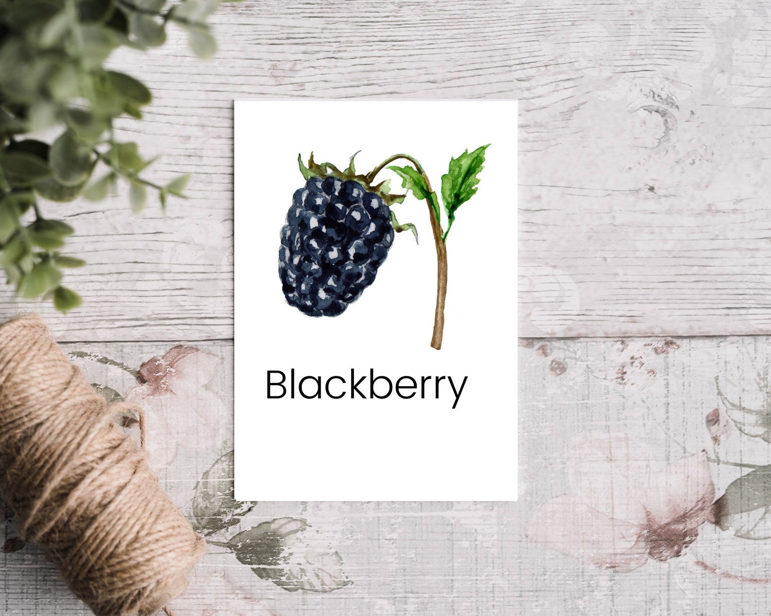 24 Fruit Flashcards, Montessori Flashcards, Food Cards, INSTANT ...