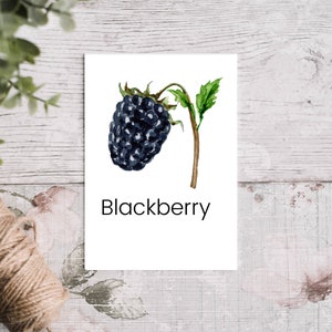 24 Fruit Flashcards, Montessori Flashcards, Food Cards, INSTANT ...