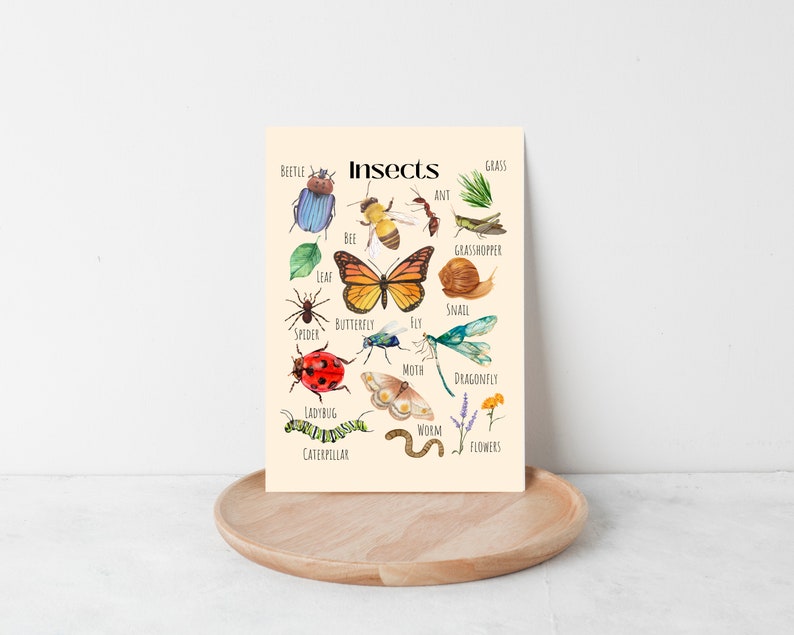 Insects Kids Poster Insects Printable Wall Art Nature - Etsy