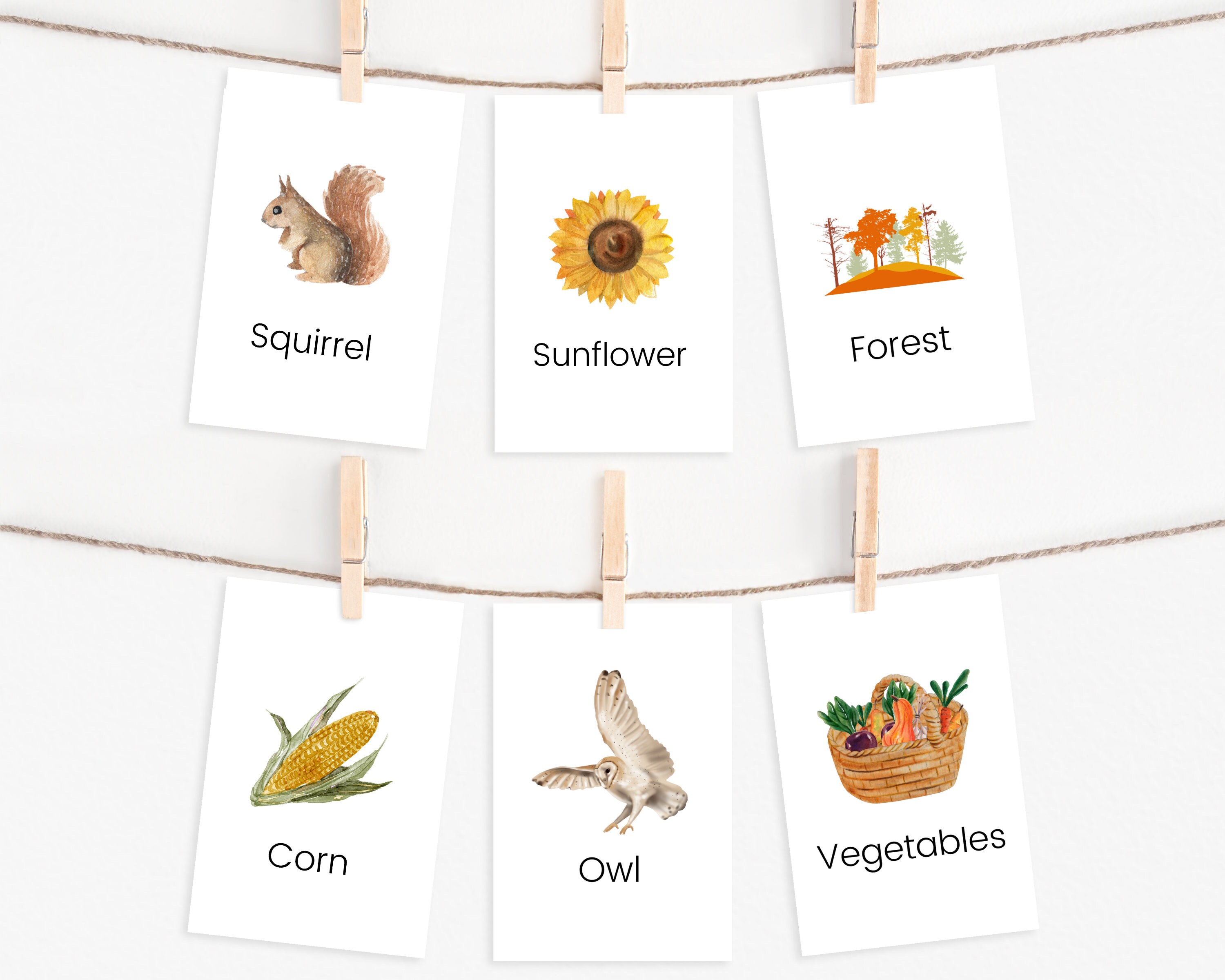 18 Autumn Flashcards, Fall Flashcards Bundle, 20 Halloween Flashcards ...