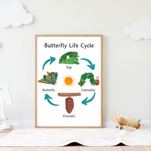 The Very Hungry Caterpillar Life Cycle Poster, Butterfly Lifecycle ...