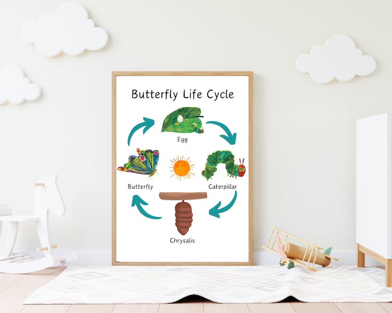 The Very Hungry Caterpillar Life Cycle Poster, Butterfly Lifecycle ...