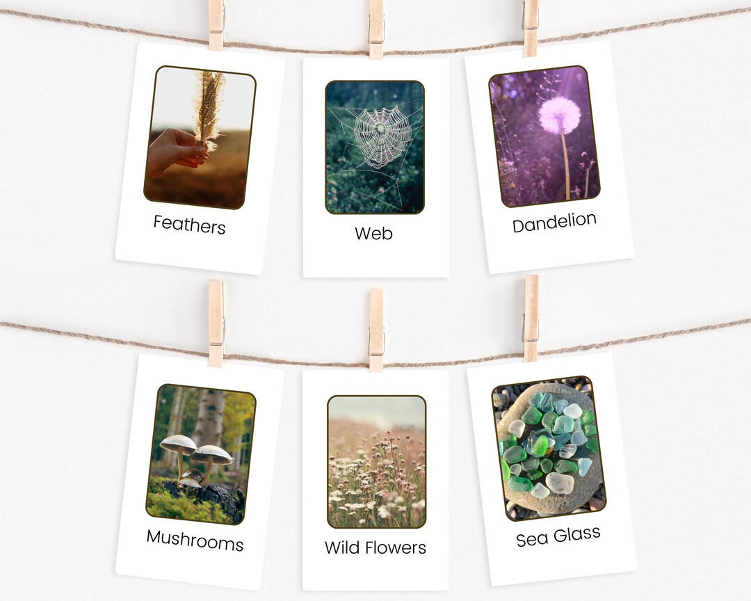 Nature Flash Cards, Reggio Inspired Vocabulary (printable) - Etsy UK