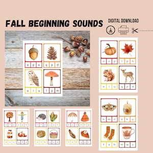 Fall Beginning Sounds Clip Cards: Autumn Phonics Activity (PDF Download ...
