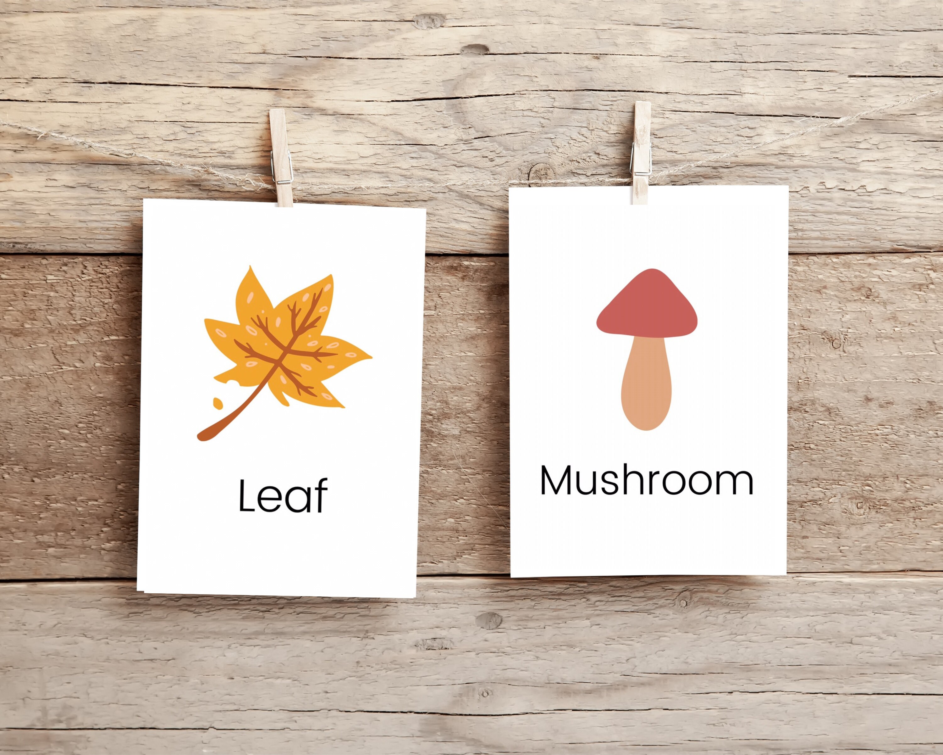 Seasons Flashcards Printable Nature Cards Nursery Wall Art | Etsy