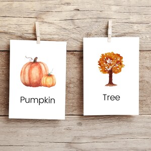 Autumn Flashcards, Montessori Homeschool Nature Cards (INSTANT DOWNLOAD ...