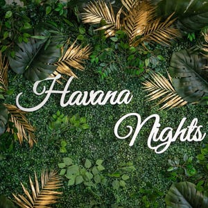 Havana Nights Backdrop Sign | Havana Themed Party | Birthday Party ...