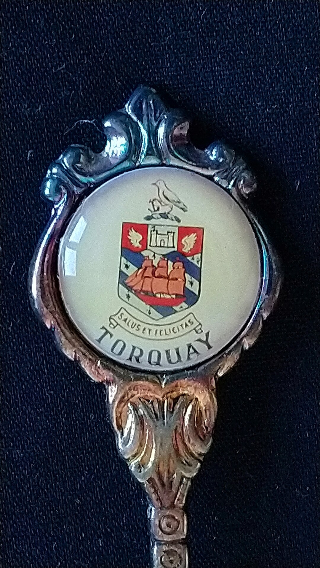 Torquay Motif English Riviera Devon Beaches Babbacombe Oddicombe Torre ...