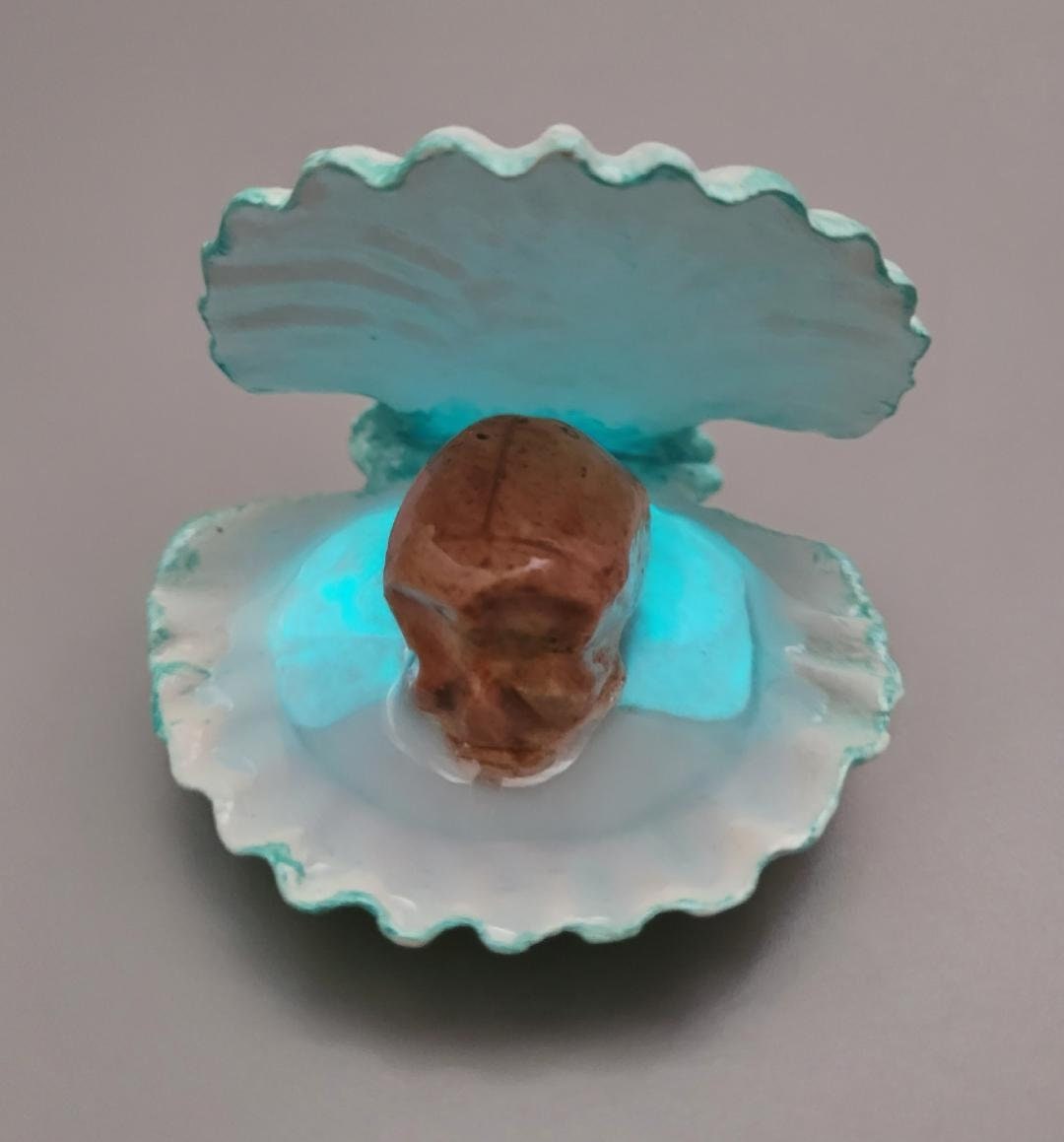 Glow in the Dark Clam Shell With Skull Miniature - Etsy